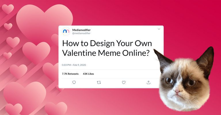 How to Design Your Own Funny Valentine Meme Online | Mediamodifier