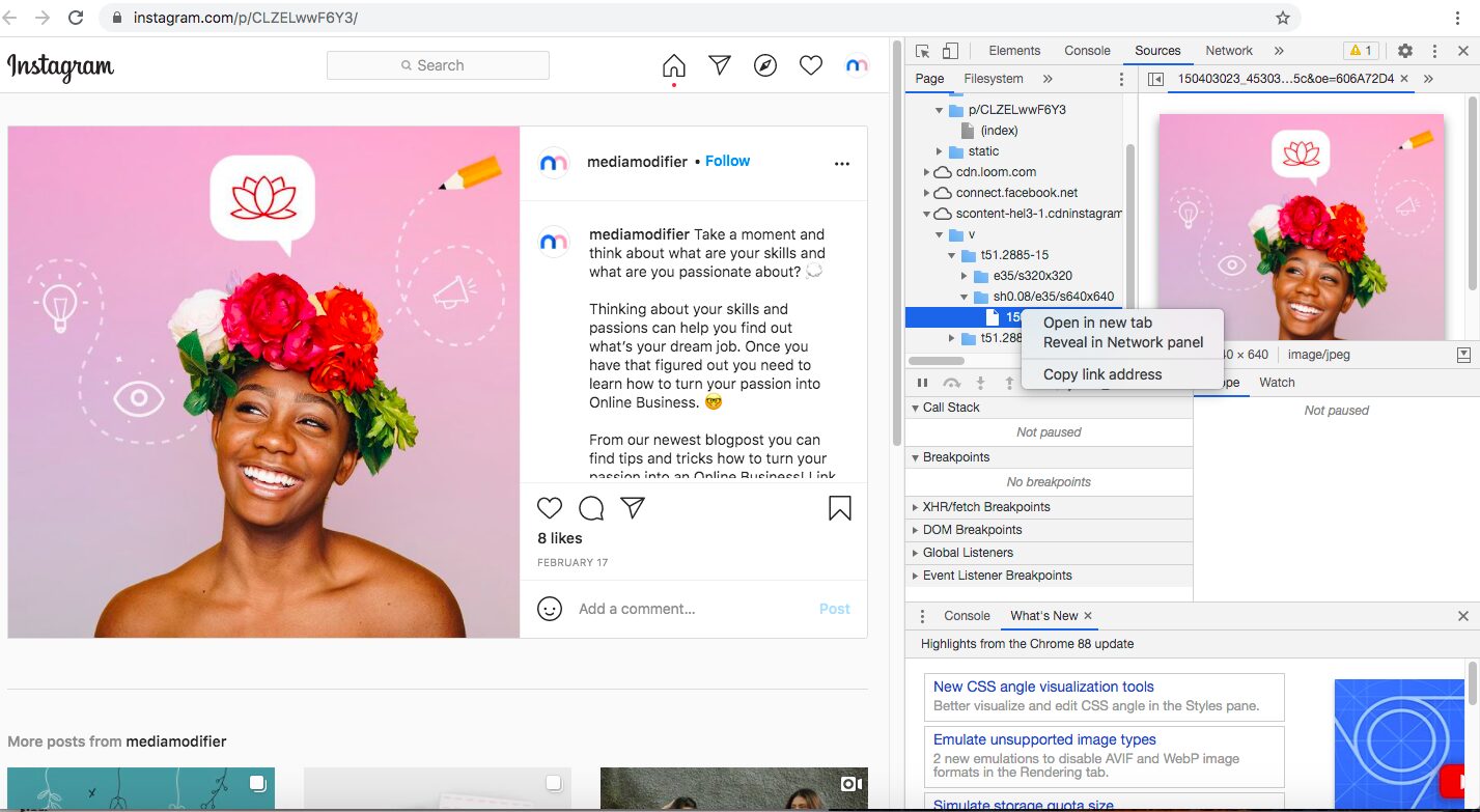 How to Download Instagram Images? Tutorial | Mediamodifier