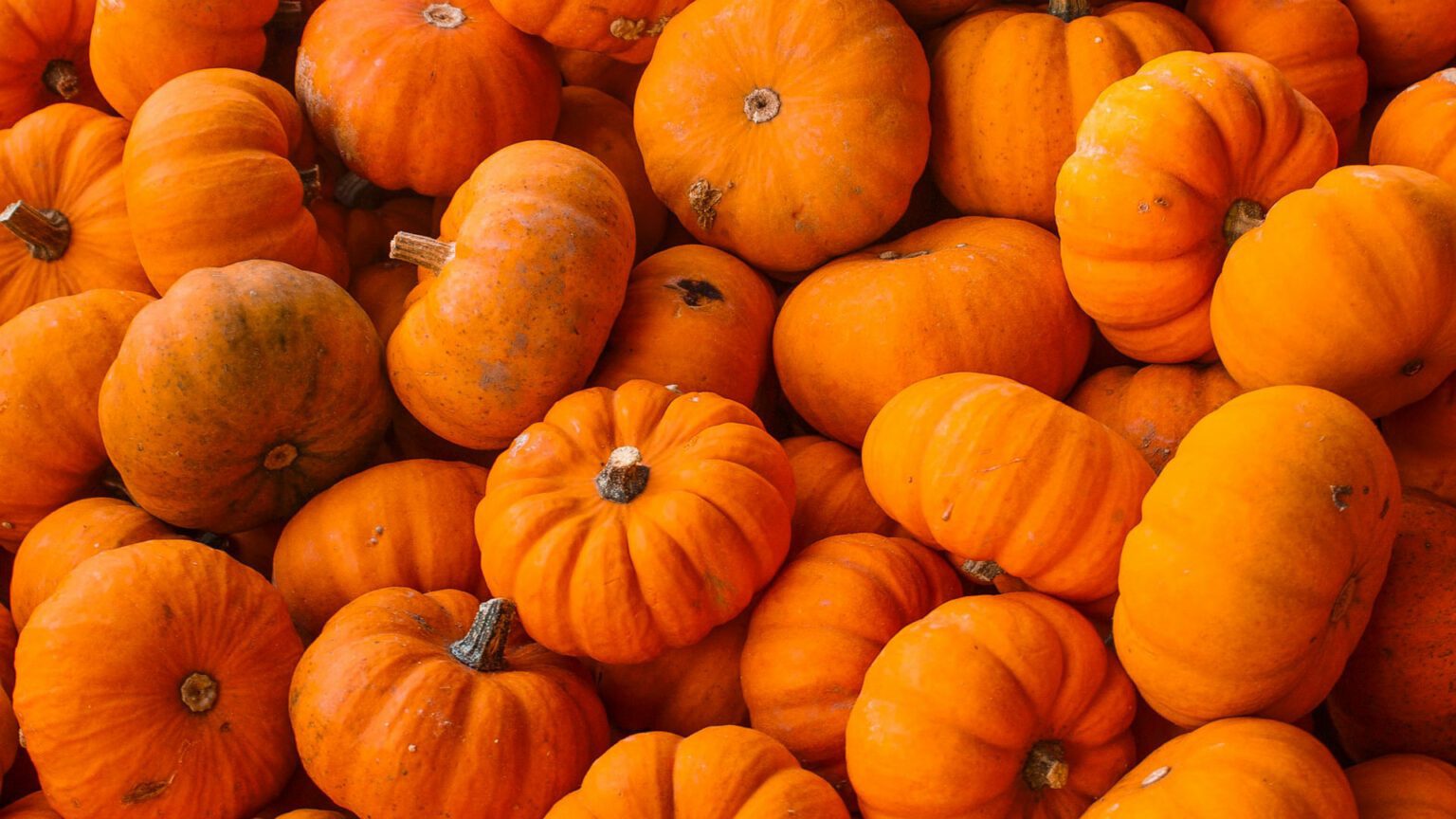 10 Post Ideas For Social Media In October Mediamodifier 10-post-ideas-for-social-media-in-october-mediamodifier