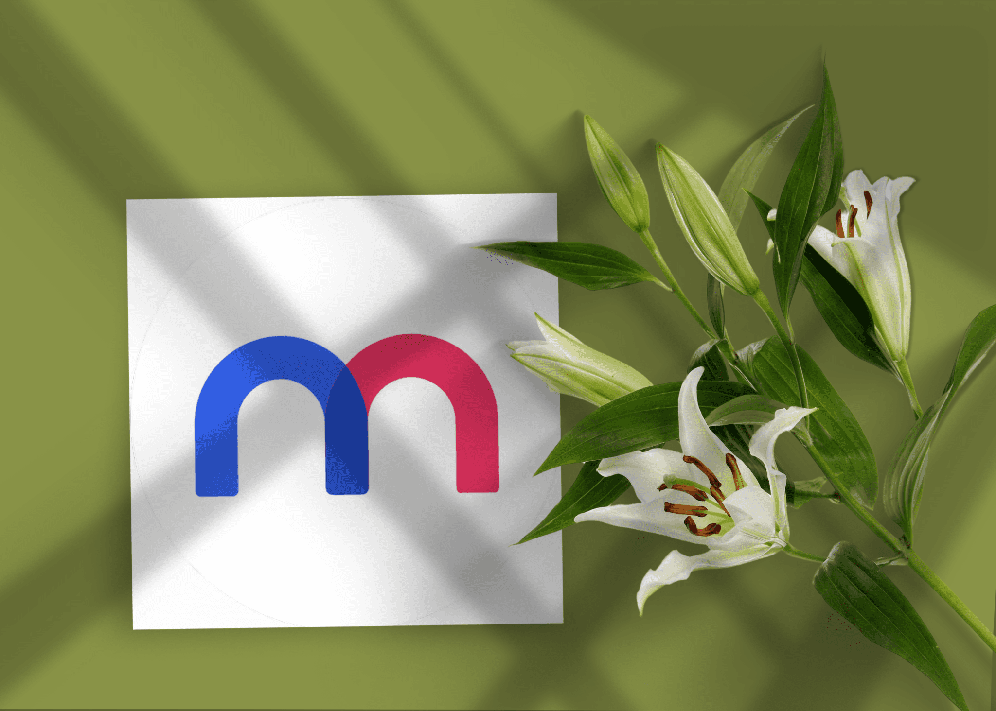 mockups | Mediamodifier